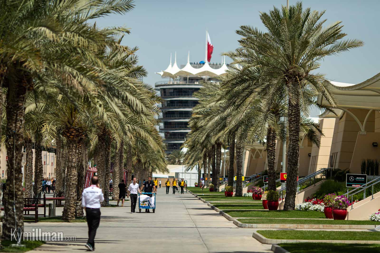 2019 BAHRAIN GRAND PRIX PRE-RACE BLOG - Kym Illman