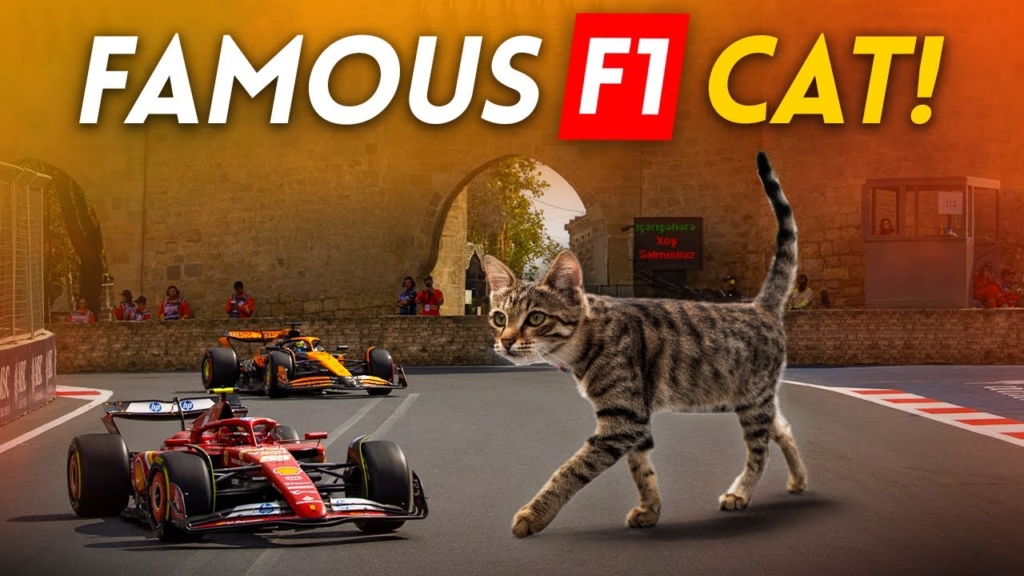 Meet the FAMOUS F1 Cat at the Azerbaijan GP! - Kym Illman